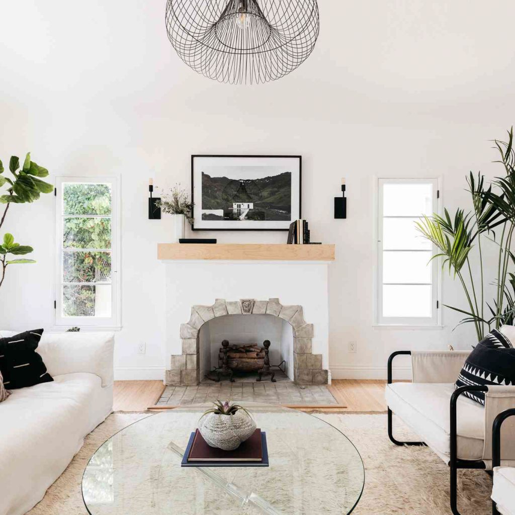 Illuminating Your Space with the Timeless Elegance of Ammonite Lamps ...